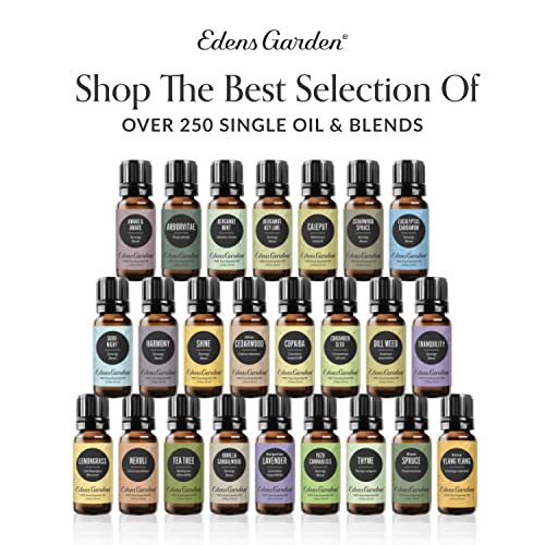 Edens Garden Top Synergy Blend Essential Oil 6 Set, Best 100% Pure Aromatherapy Starter Kit (for Diffuser & Therapeutic Use), 10 ml