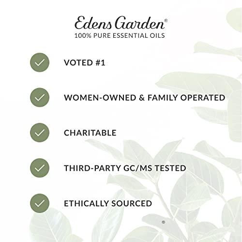 Edens Garden Top Synergy Blend Essential Oil 6 Set, Best 100% Pure Aromatherapy Starter Kit (for Diffuser & Therapeutic Use), 10 ml