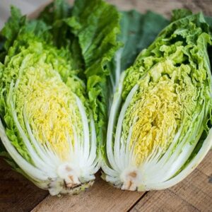 Chinese Cabbage Seeds - Michihili - 5 Pounds - Vegetable Seeds, Heirloom Seed, Open Pollinated Seed Fast Growing, Container Garden