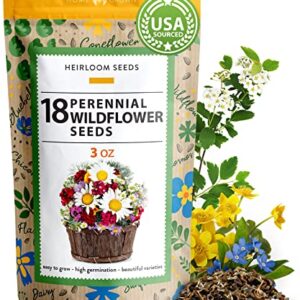 90,000 Wildflower Seeds - 3oz Pure Wild Flower Seed Pack - 18 Variety - Perennial Flower Seeds for Attracting Birds & Butterflies - Open Pollinated, Flower Garden Seeds for Planting Outdoors