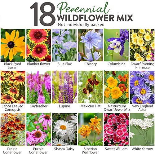 90,000 Wildflower Seeds - 3oz Pure Wild Flower Seed Pack - 18 Variety - Perennial Flower Seeds for Attracting Birds & Butterflies - Open Pollinated, Flower Garden Seeds for Planting Outdoors