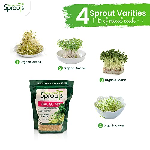 Nature Jims Sprouts Salad Sprout Mix - Organic Salad Mix for Growing - Non-GMO Microgreen Seeds - Healthy Broccoli, Alfalfa, Radish, Clover Sprouting Seeds Variety Mix - Microgreens Growing 1lb