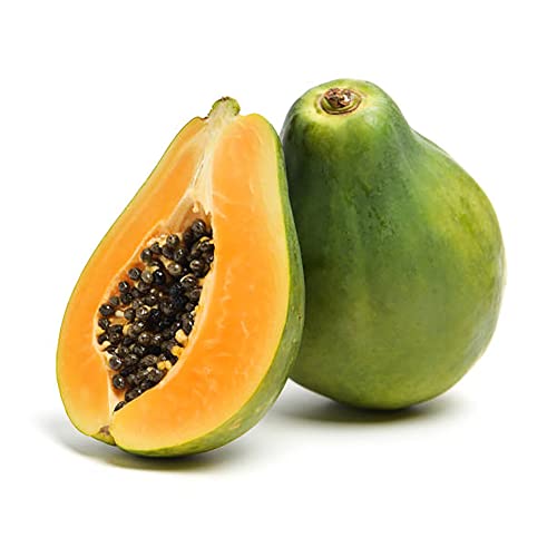 YEGAOL Garden 10Pcs Dwarf Waimanalo Papaya Fruit Tree Seeds Fast-Growing Perennial Non-GMO Tropical Sweet Fruit Patio Plant