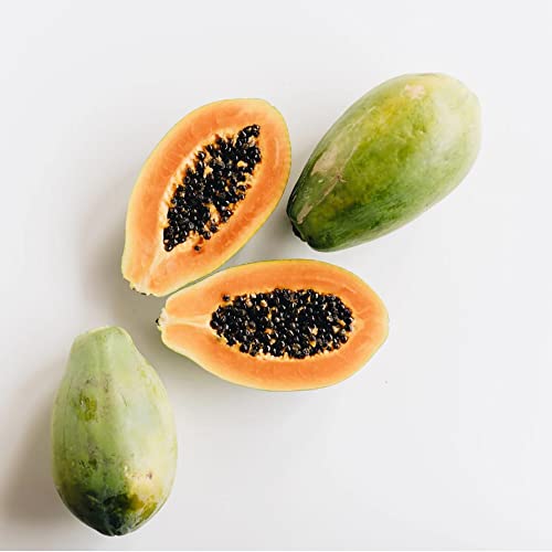 YEGAOL Garden 10Pcs Dwarf Waimanalo Papaya Fruit Tree Seeds Fast-Growing Perennial Non-GMO Tropical Sweet Fruit Patio Plant