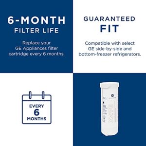 GE XWFE Refrigerator Water Filter | Certified to Reduce Lead, Sulfur, and 50+ Other Impurities | Replace Every 6 Months for Best Results | Pack of 1