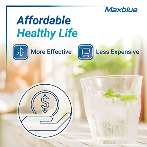 Maxblue RPWFE (with CHIP) NSF 401 Certified Refrigerator Water Filter, Replacement for GE® RPWFE, RPWF, WSG-4, WF277, GFE28GMKES, PFE28KBLTS, GFD28GSLSS, PWE23KSKSS, GYE22HMKES, DFE28JSKSS