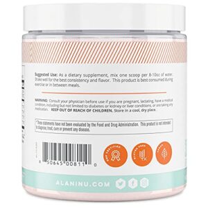 Alani Nu BCAA Branched Chain Essential Amino Acids Supplement Powder, Muscle Recovery Vitamins for Post-Workout, Sour Peach Rings, 30 Servings