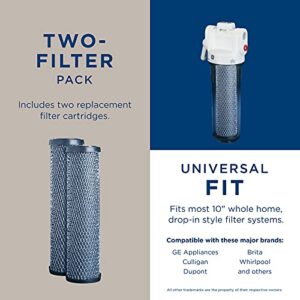 GE FXWSC Water Filter, 1 Count (Pack of 1), White