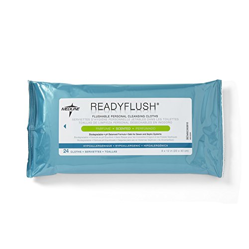 Medline Readyflush Biodegradable Flushable Wipes, 576 wipes (24 pack of 24 wipes)