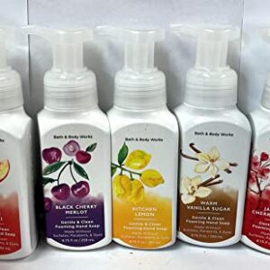 Bath and Body Works FRESH AND BRIGHT Hand Soaps - Set of 5 Gentle Foaming Soaps