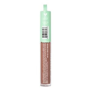 e.l.f. Mint Melt Lip Gloss, High-shine, Hydrating Lip Gloss, Plumps Lips & Creates Subtle, Buildable Color, Vegan & Cruelty-Free, Mint Chocolate