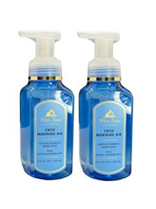 bath & body works crisp morning air gentle foaming hand soap set of 2