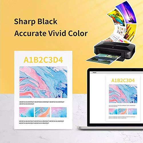 LC203BK XL Compatible Ink Cartridge for Brother LC203XL LC201XL LC203 LC201 Black cartridgesto use with MFC-J480DW MFC-J880DW MFC-J4420DW MFC-J680DW MFC-J885DW Printer (10 Pack Black)