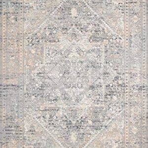 Loloi II Lucia Collection LUC-01 Grey/Sunset, Transitional 7'-9" x 10'-6" Area Rug