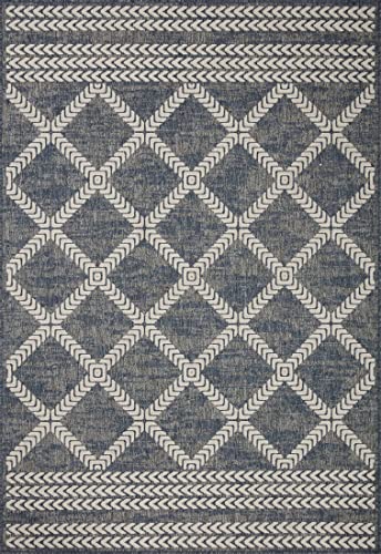 Loloi II Rainier Collection RAI-05 Denim/Ivory, Indoor/Outdoor 7'-10" x 10'-10" Area Rug