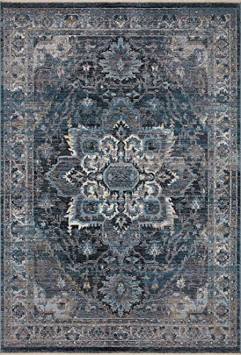 Loloi II Samra SAM-01 Denim Transitional Area Rug 9'-6" x 13'-1"