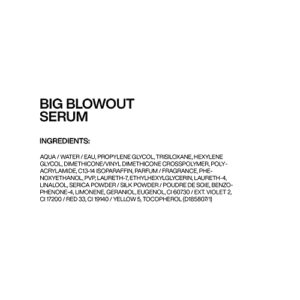 Redken Big Blowout Heat Protection Jelly Serum for All Hair Types | Volume for Fine Hair | Blowdry Gel, 3.4 fl. oz.