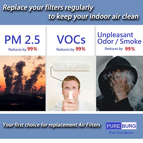 PUREBURG 2-Pack Replacement HEPA Filters Compatible with Hamilton Beach TrueAir Compact Pet Air Purifiers 04383 04384 04385 04386, Part # 990051000