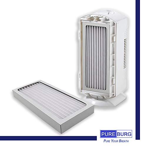 PUREBURG 2-Pack Replacement HEPA Filters Compatible with Hamilton Beach TrueAir Compact Pet Air Purifiers 04383 04384 04385 04386, Part # 990051000