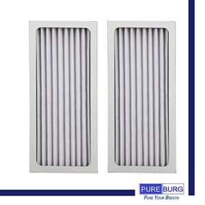 PUREBURG 2-Pack Replacement HEPA Filters Compatible with Hamilton Beach TrueAir Compact Pet Air Purifiers 04383 04384 04385 04386, Part # 990051000