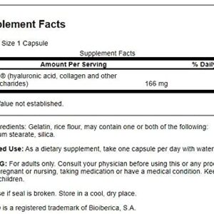 Swanson Hyaluronic Acid Complex 166 mg 60 Caps 2 Pack