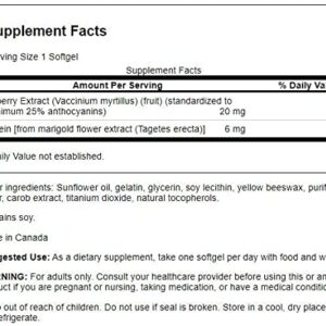 Swanson Standardized Lutein & Bilberry - Natural Supplement Promoting Eye Sight & Eye Health - Formula to Help Reduce Eye Fatigue & Strain - (120 Softgels) 2 Pack