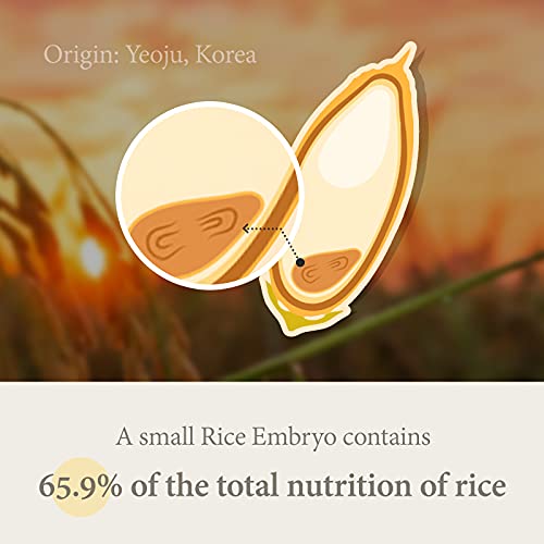 [I'm From] Rice Serum, 73% Fermented Rice Embryo Extract | Improve Hyperpigmentation, Boost Collagen, Vitality, Supply nutrients to skin with Vitamin B, healthy glow