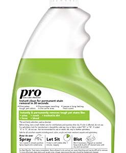 Bissell Pawsitively Clean Pro Pet Stain & Odor Eliminator Instant Clean, 32oz, 2186