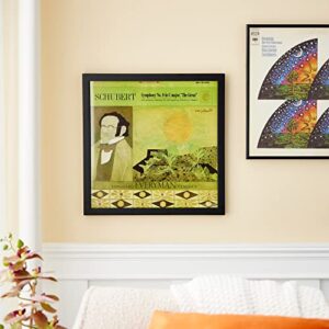 MICHAELS Deluxe LP Album Frame by Studio Décor®