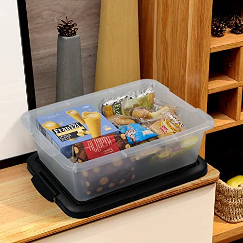 Teyyvn 14 L Clear Storage Box, 2-Pack Plastic Storage Bin with Black Lid