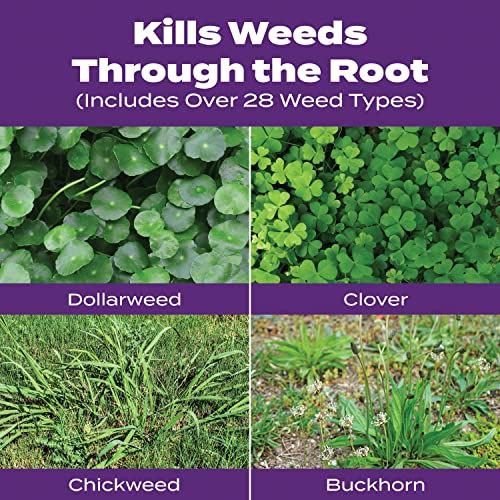 Scotts Turf Builder Bonus S Southern Weed & Feed2, 17.24 lbs.