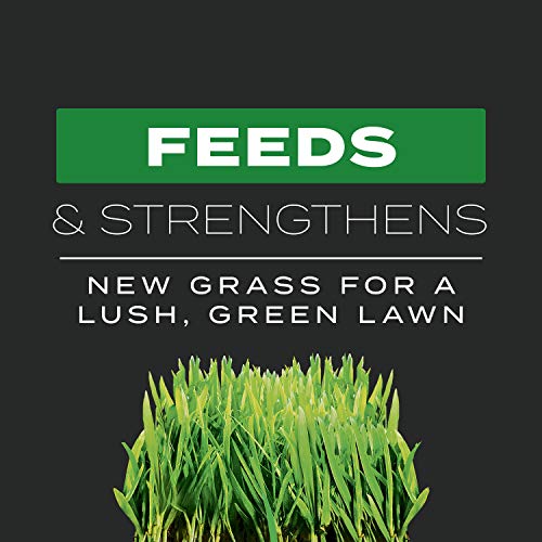 Scotts Turf Builder Triple Action Built For Seeding: Covers 4,000 sq. ft., Feeds New Grass, Lawn Weed Control, Prevents Crabgrass & Dandelions, 17.2 lbs.