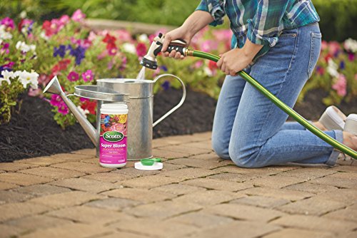 Scotts Super Bloom Water Soluble Plant Food, 2 lb - NPK 12-55-6 - Fertilizer for Outdoor Flowers, Fruiting Plants, Containers and Bed Areas - Feeds Plants Instantly