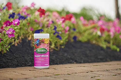 Scotts Super Bloom Water Soluble Plant Food, 2 lb - NPK 12-55-6 - Fertilizer for Outdoor Flowers, Fruiting Plants, Containers and Bed Areas - Feeds Plants Instantly