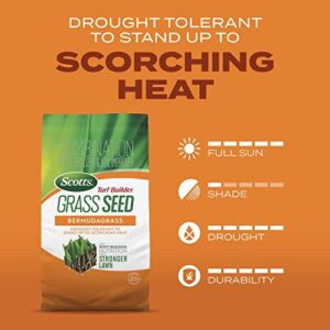 Scotts Turf Builder Grass Seed Bermudagrass Drought-Tolerant to Stand up to Scorching Heat with Root-Building Nutrition, 1 lb.