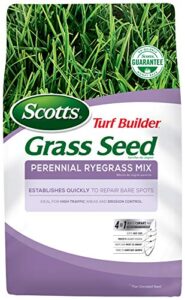 scotts turf builder grass seed perennial ryegrass mix repairs bare spots, ideal for high traffic and erosion control, 7 lbs.