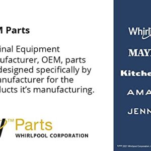 Whirlpool WPW10136934 Dryer Drum Belt