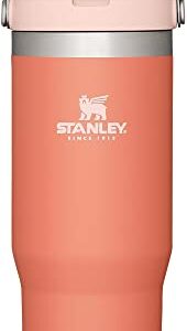 Stanley IceFlow Stainless Steel Tumbler with Straw, Vacuum Insulated Water Bottle for Home, Office or Car, Reusable Cup with Straw Leakproof Flip (Grapefruit)