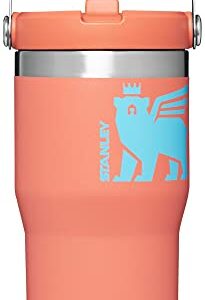 Stanley Classic IceFlow Flip Straw Tumbler for Kids (8 or Above), 20oz, Stan the Bear Stainless Steel , with Double-Wall Vacuum Insulation