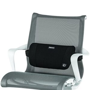 Fellowes Lower Lumbar Back Rest (8026301)