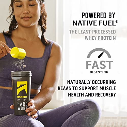 Ascent Native Fuel Whey Protein Powder - Post Workout Whey Protein Isolate, Zero Artificial Ingredients, Soy & Gluten Free, 5.7g BCAA, 2.7g Leucine, Essential Amino Acids, Chocolate 4 lb