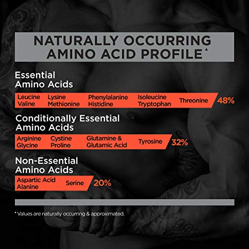 Rule One Proteins, R1 Protein - Lightly Salted Caramel, 25g Fast-Acting, Super-Pure 100% Isolate and Hydrolysate Protein Powder with 6g BCAAs for Muscle Growth and Recovery, 2lbs