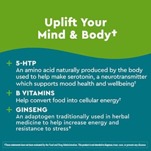 Nature Made Wellblends Positive Mood & Energy, 5HTP, Thiamin, Niacin, Vitamin B6, Vitamin B12, and Pantothenic Acid, plus Ginseng, 24 Softgels