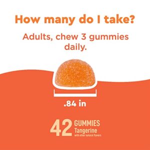 Nature Made Wellblends ImmuneMAX Gummies, Vitamin C, Zinc, and Vitamin D3, Immune Support Supplement, 42 Tangerine Flavor Gummies