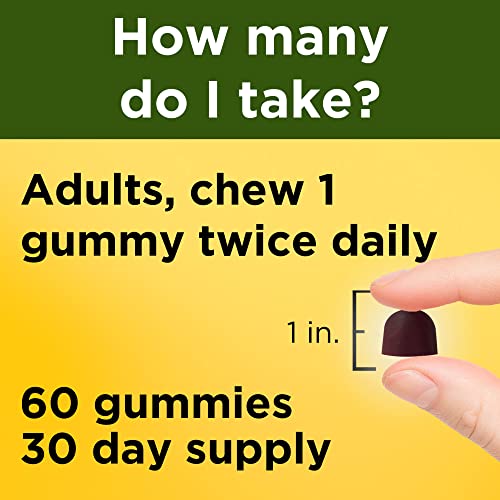 Nature Made KSM-66 Ashwagandha Gummies for Stress Support, 60 Gummies, 30 Day Supply