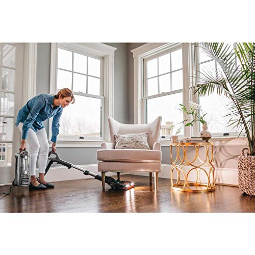 Shark Navigator UV810 DuoClean Powered Lift-Away Speed, Bagless Carpet and Hard Floor with Hand Vacuum and Anti-Allergy Seal with HEPA Filter, Grey and Red