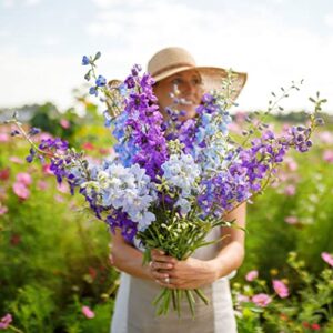 rocket larkspur seeds – tall mix – 1 pound – pink/purple/white flower seeds, heirloom seed, open pollinated seed attracts bees, attracts butterflies, attracts hummingbirds, attracts pollinators