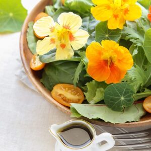 Nasturtium Seeds (Dwarf) - Black Velvet - 1 Pound - Red/Black/Yellow Flower Seeds, Heirloom Seed Attracts Bees, Attracts Butterflies, Attracts Hummingbirds, Attracts Pollinators