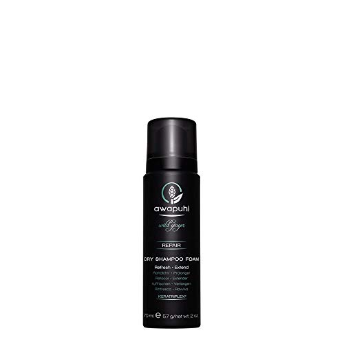 Paul Mitchell Awapuhi Wild Ginger Dry Shampoo Foam, 2 Fl Oz