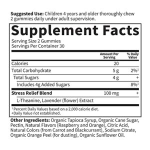 Garden of Life Stress Relief Gummies for Kids, Non-GMO Supplement for Calm & Positive Mood, Berry Citrus 60 Count, Vegan Energy Support L-Theanine Lavender Gummy Vitamin, Dr Formulated, 30 Day Supply